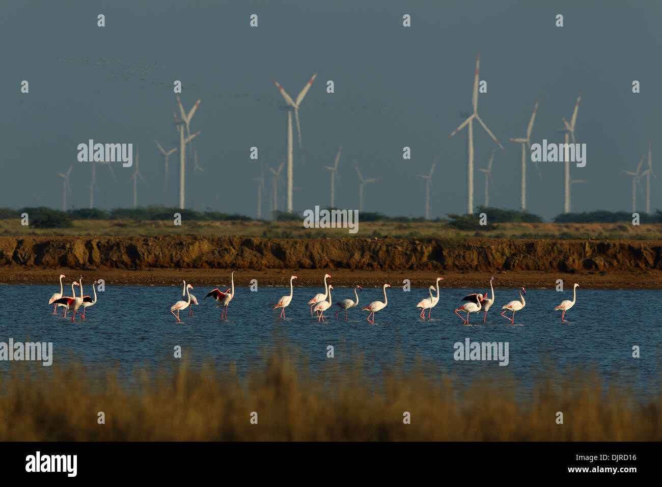 India mills hi-res stock photography and images - Alamy