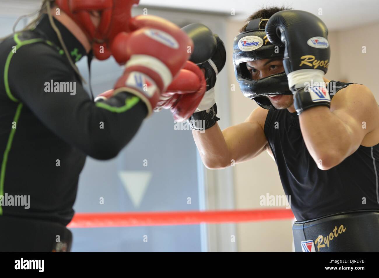Tokyo, Japan. 29th Nov, 2013. Ryota Murata (JPN) Boxing : Ryota Murata ...