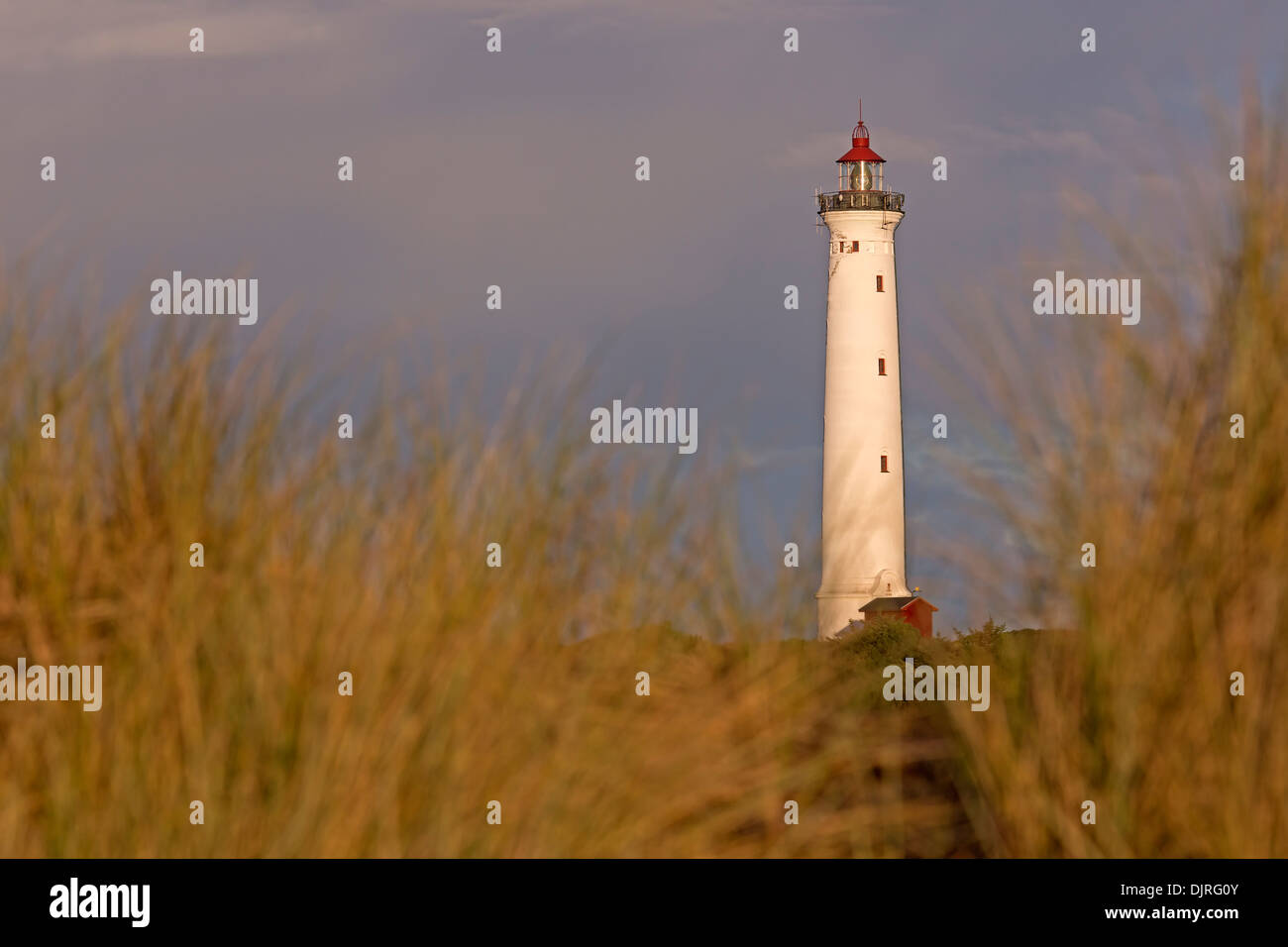 Lighthouse Lyngvig Fyr, Denmark Stock Photo - Alamy
