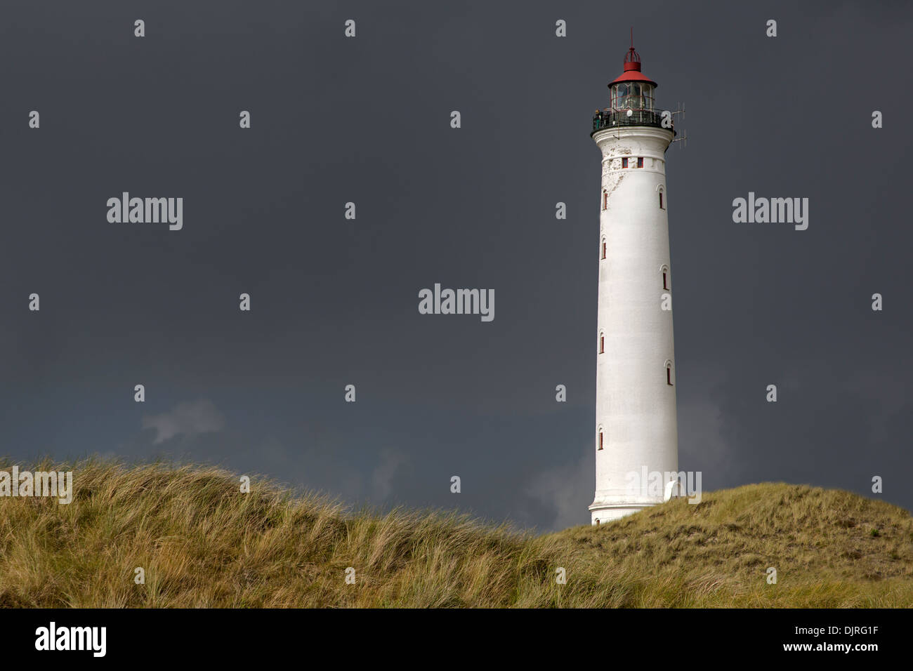 Lighthouse Lyngvig Fyr, Denmark Stock Photo - Alamy