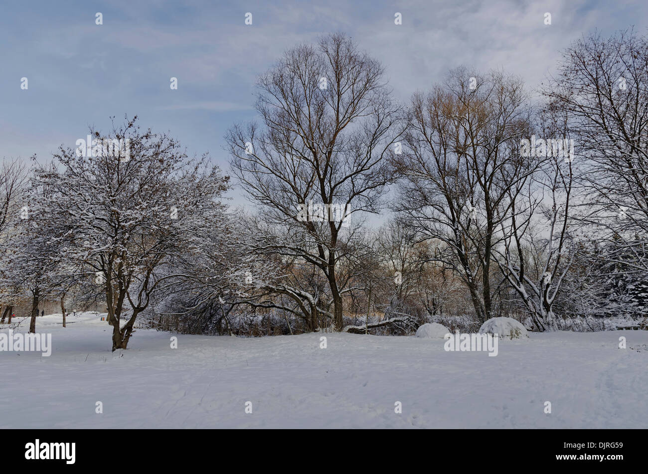 Snow garden landscape hi-res stock photography and images - Alamy