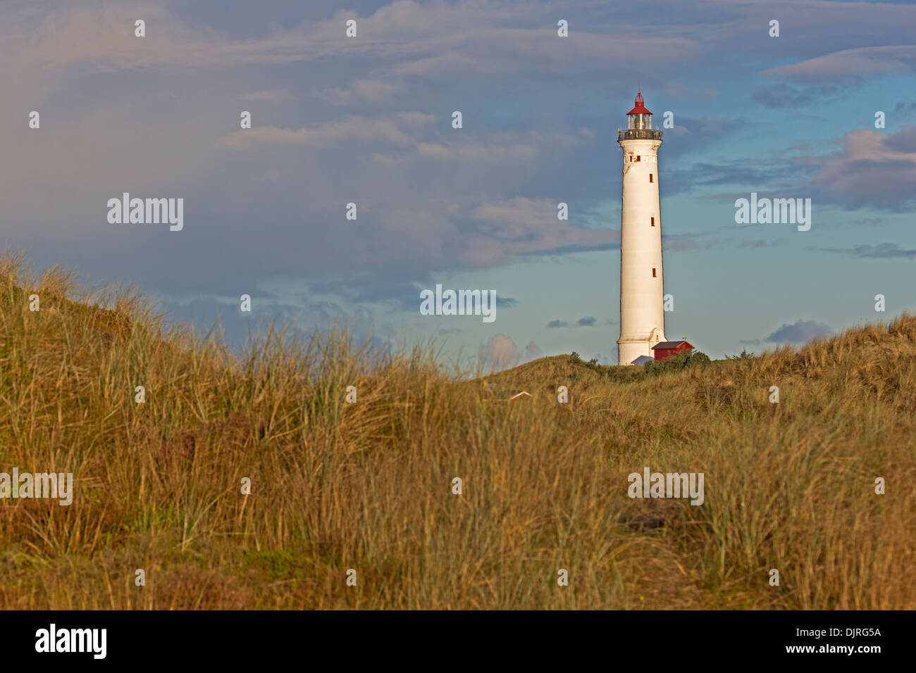 Lighthouse Lyngvig Fyr, Denmark Stock Photo - Alamy