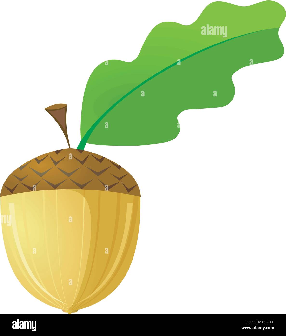 Forrest seed Stock Vector Images - Alamy