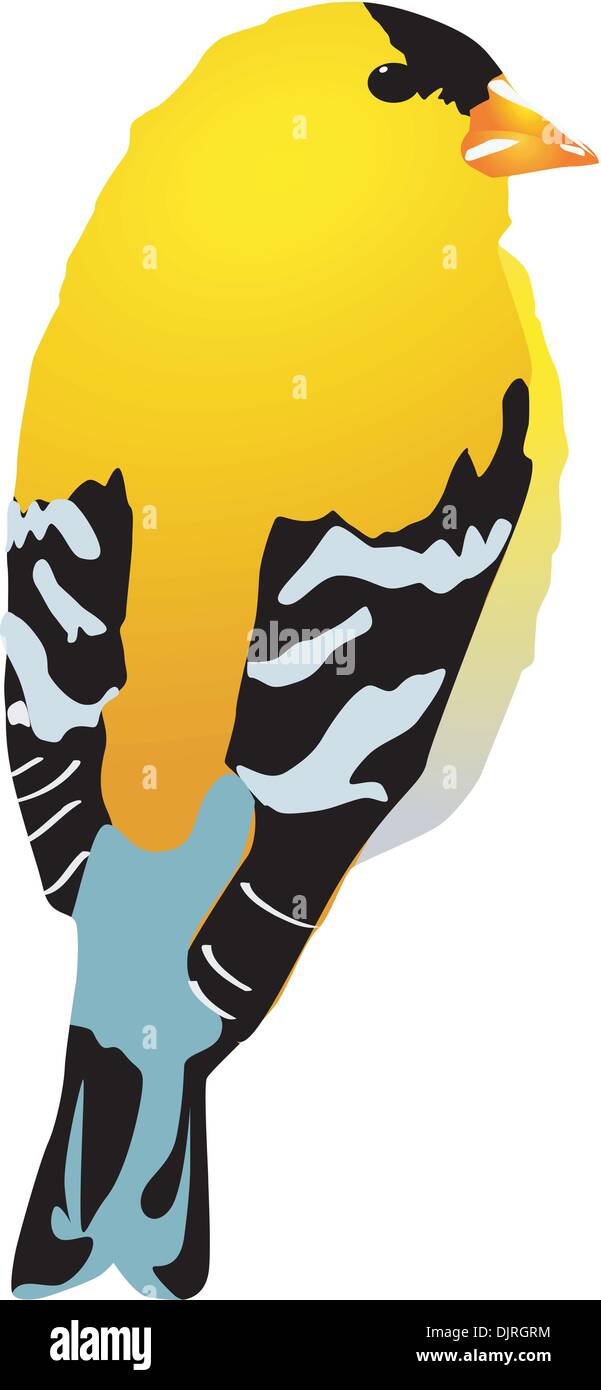 Beautiful yellow bird. Vector. EPS10 Stock Vector Image & Art - Alamy