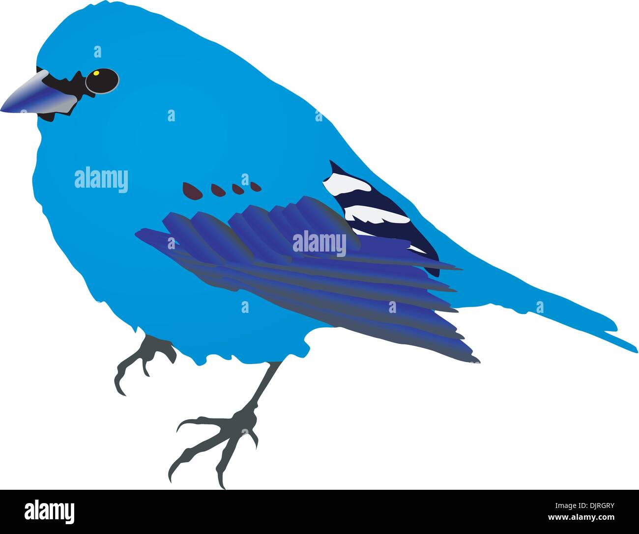 Beautiful blue bird. Vector Stock Vector Image & Art - Alamy
