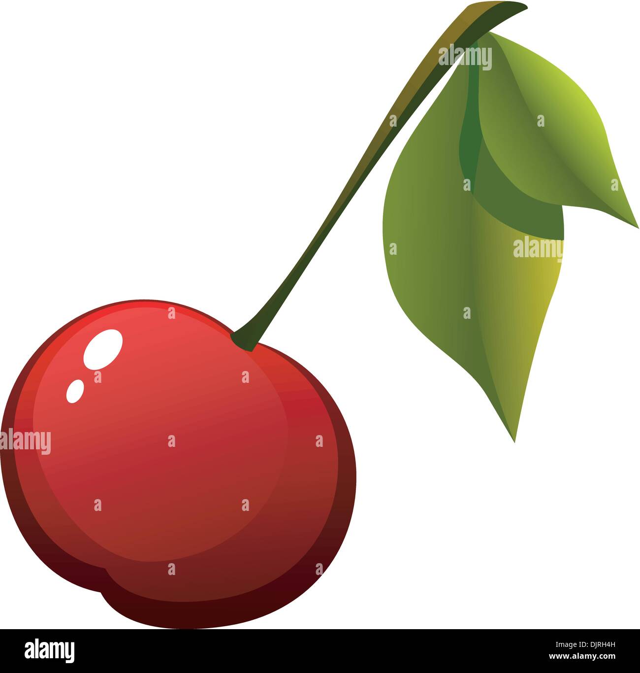 Vector image cherries with leaves Stock Vector Image & Art - Alamy