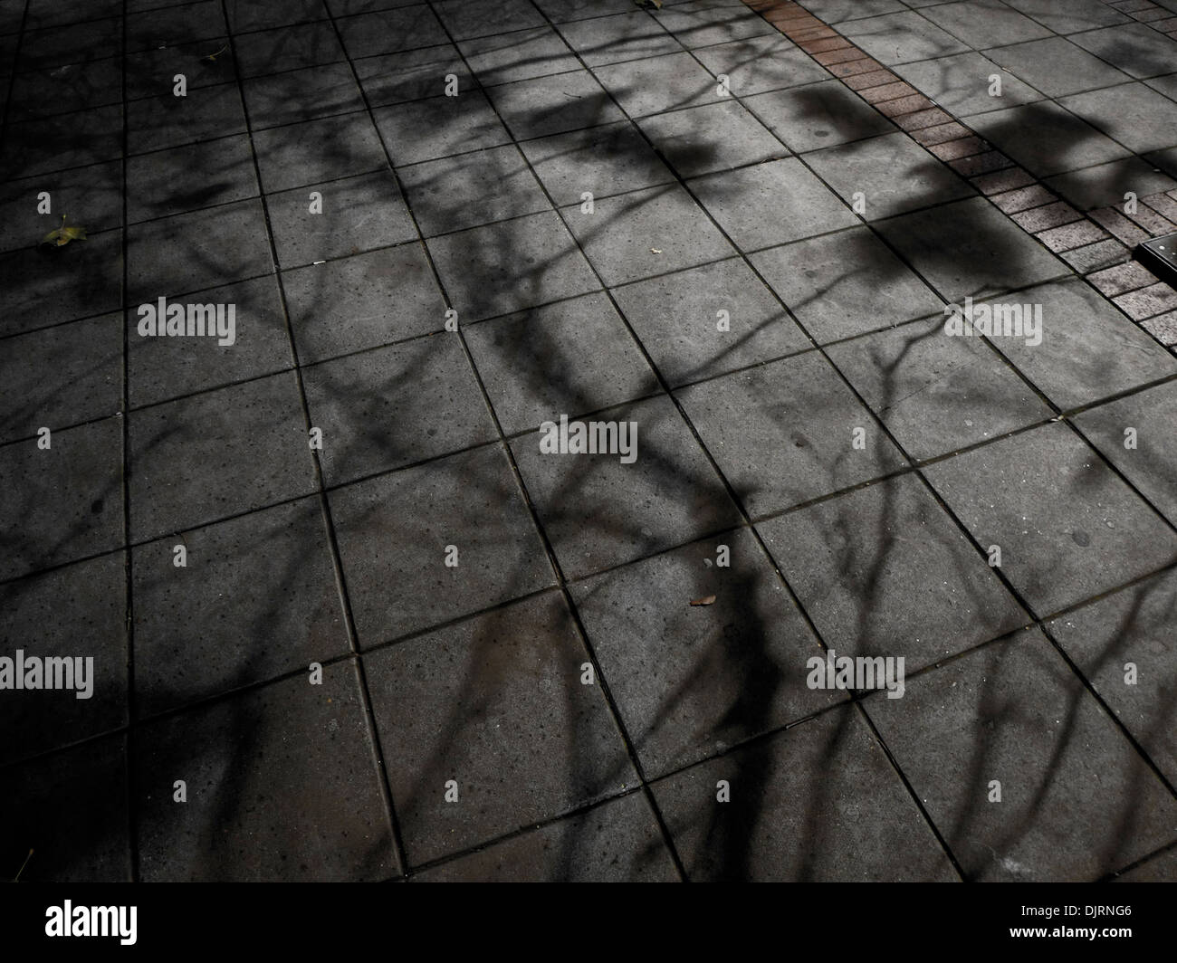 Pavement London Night High Resolution Stock Photography and Images - Alamy