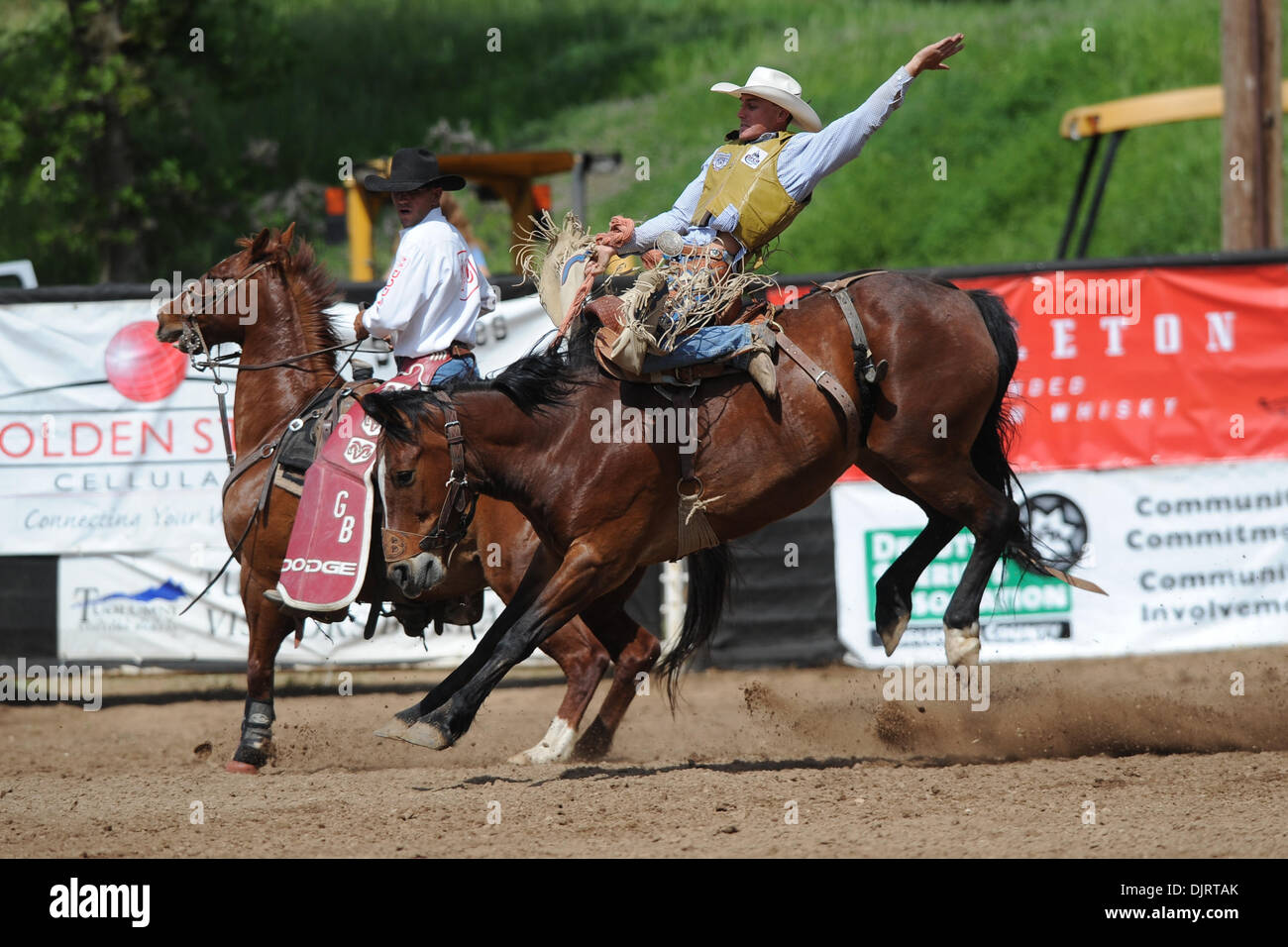 May 08, 2010 - Sonora, California, U.S - 08 May 2010: Saddle Bronc ...
