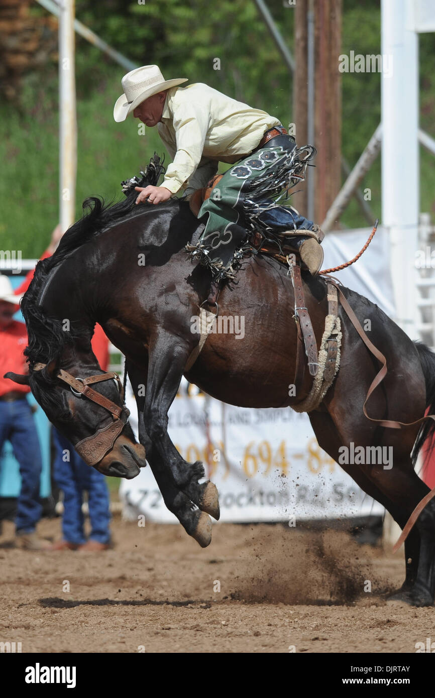 May 08, 2010 - Sonora, California, U.S - 08 May 2010: Saddle Bronc ...