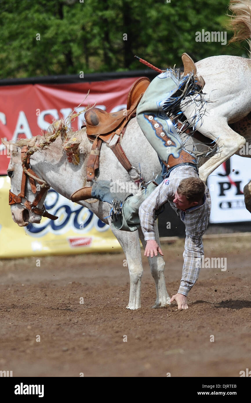 May 09, 2010 - Sonora, California, U.S - 09 May 2010: Saddle bronc ...