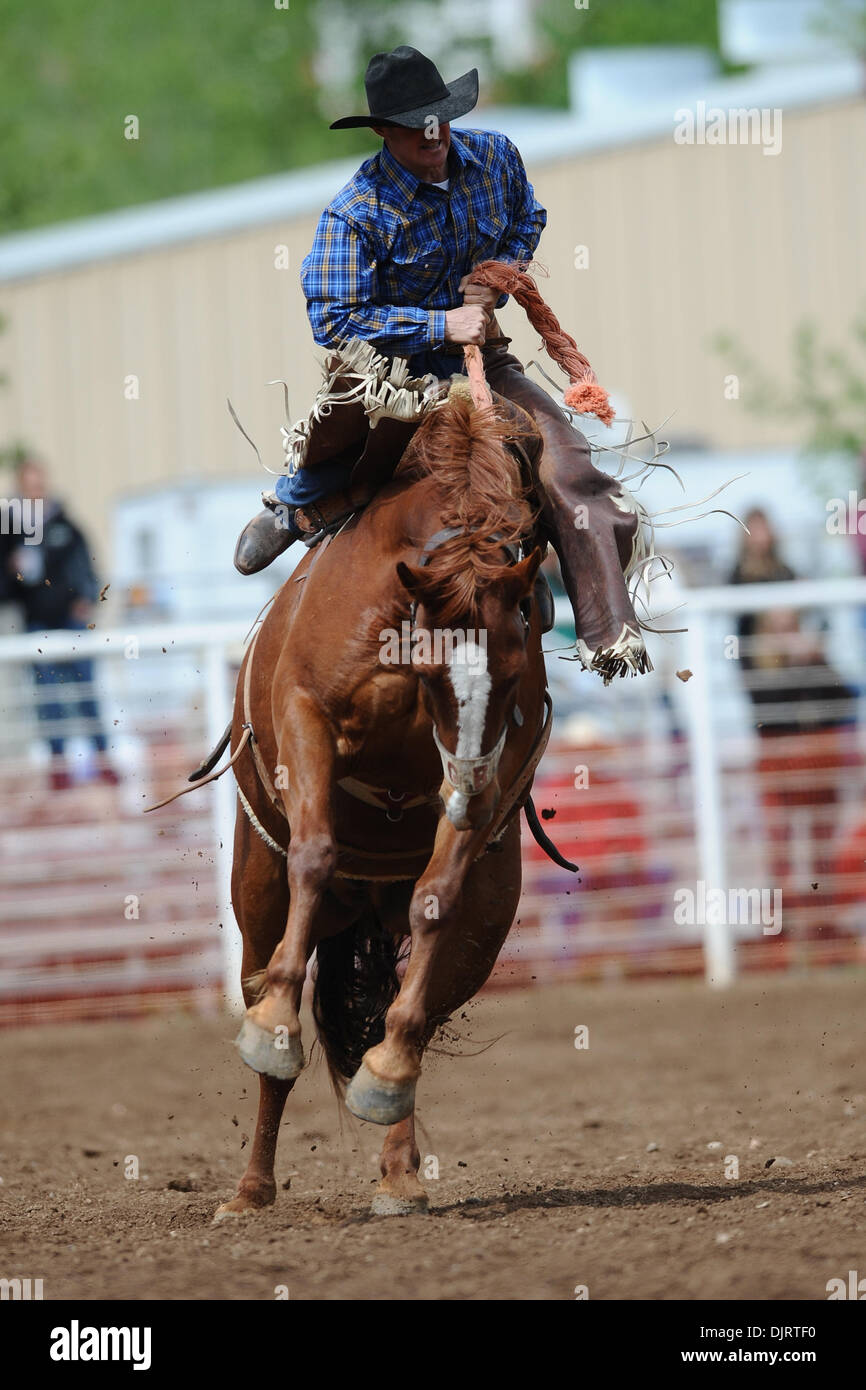 May 09, 2010 - Sonora, California, U.S - 09 May 2010: Saddle bronc ...