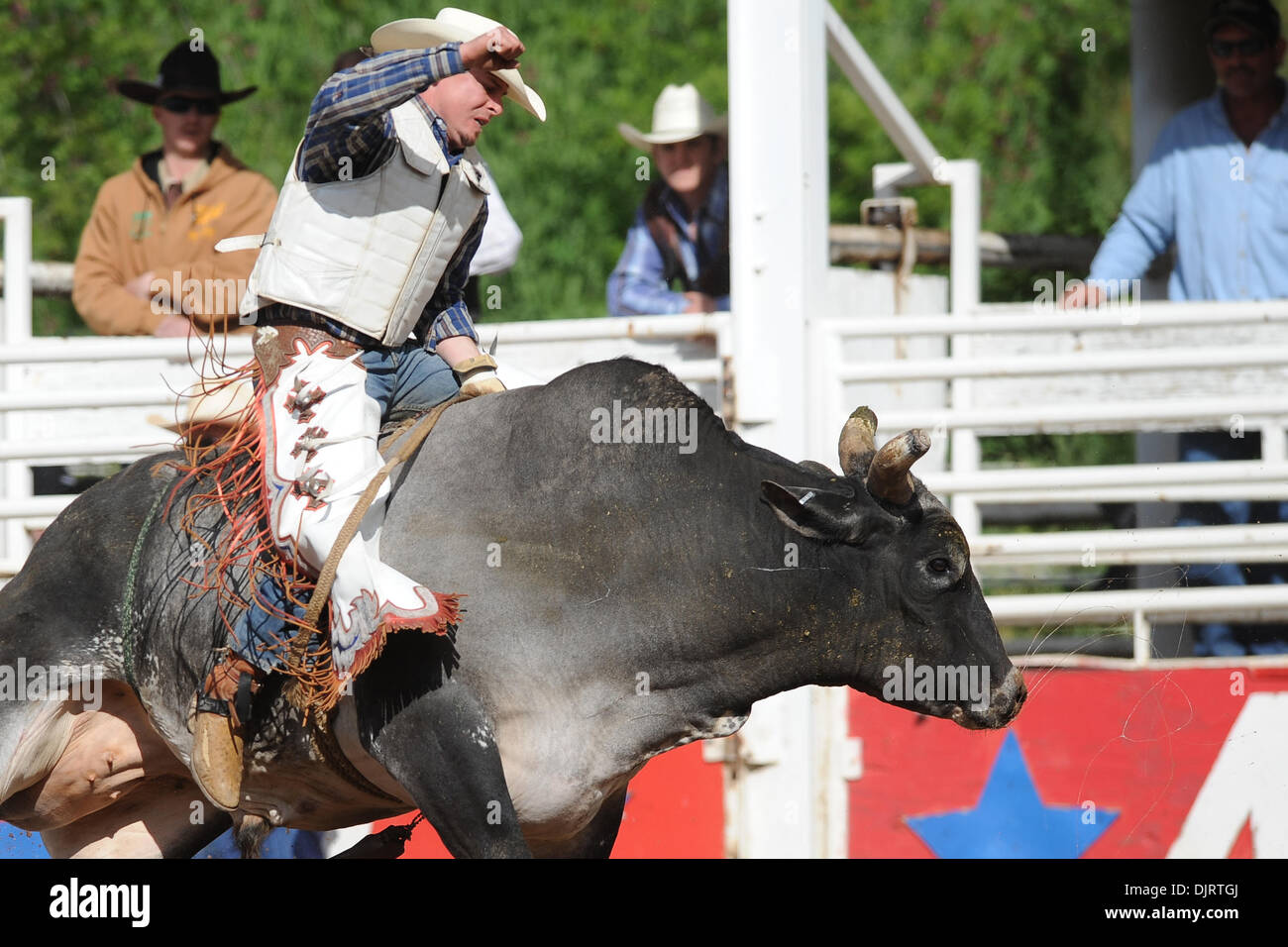 May 09, 2010 - Sonora, California, U.S - 09 May 2010: Bull rider Jason ...