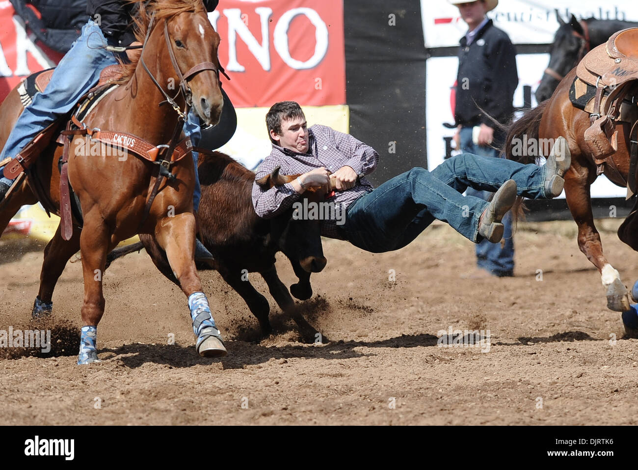May 09, 2010 - Sonora, California, U.S - 09 May 2010: Steer wrestler ...