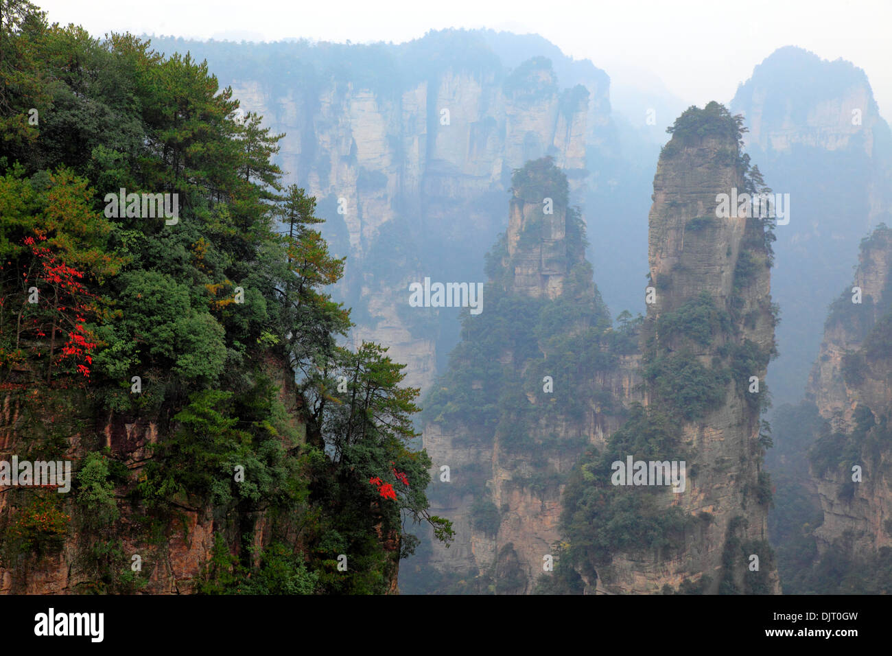 Zhangjiajie National Forest Park, Hunan, China Stock Photo - Alamy