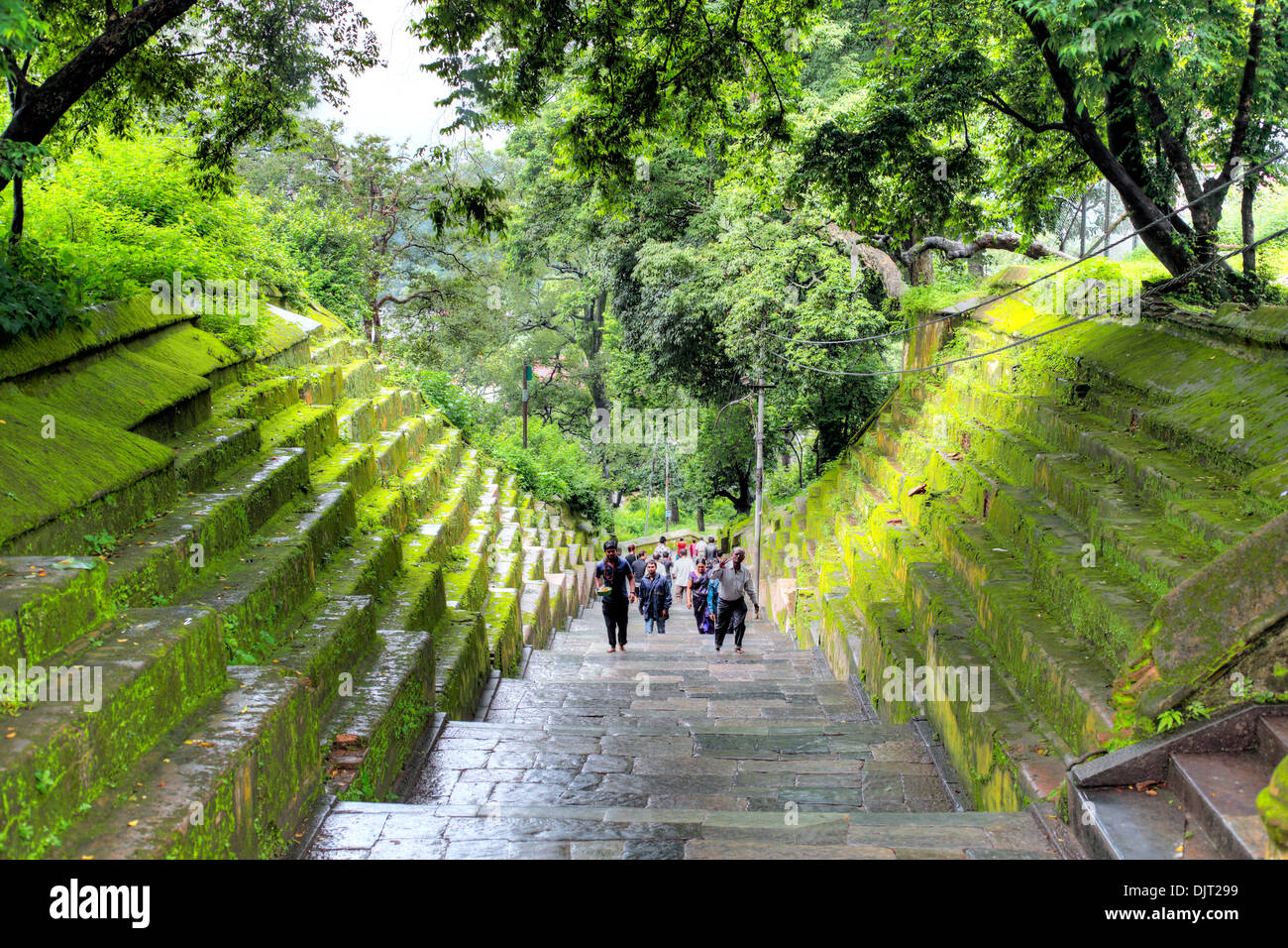 Kathmandu forest hi-res stock photography and images - Alamy
