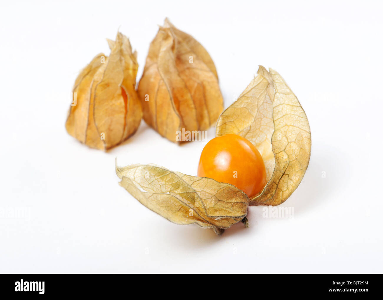 cape gooseberries isolated on a white background Stock Photo - Alamy