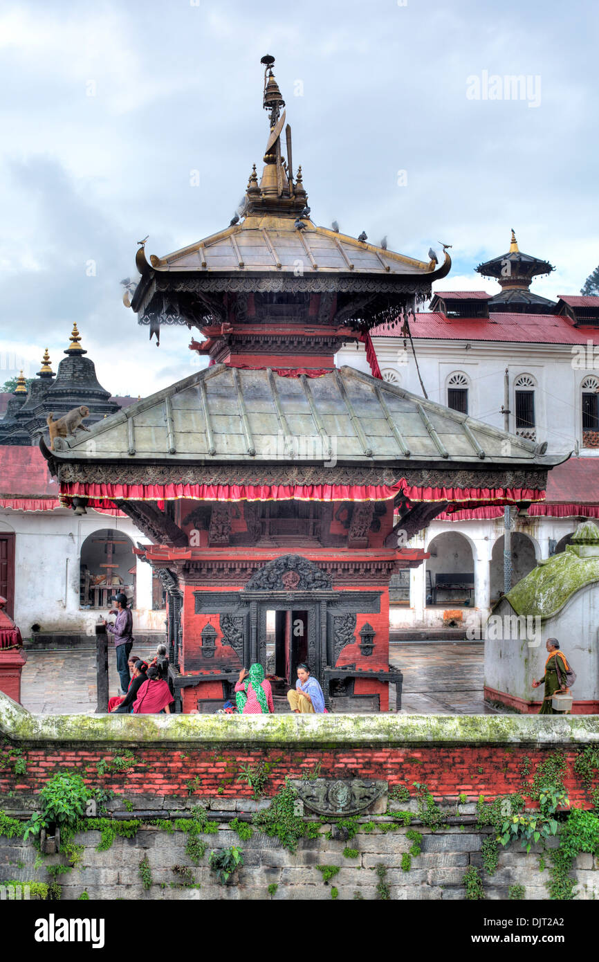 Hindu pashupatinath temple kathmandu hi-res stock photography and ...