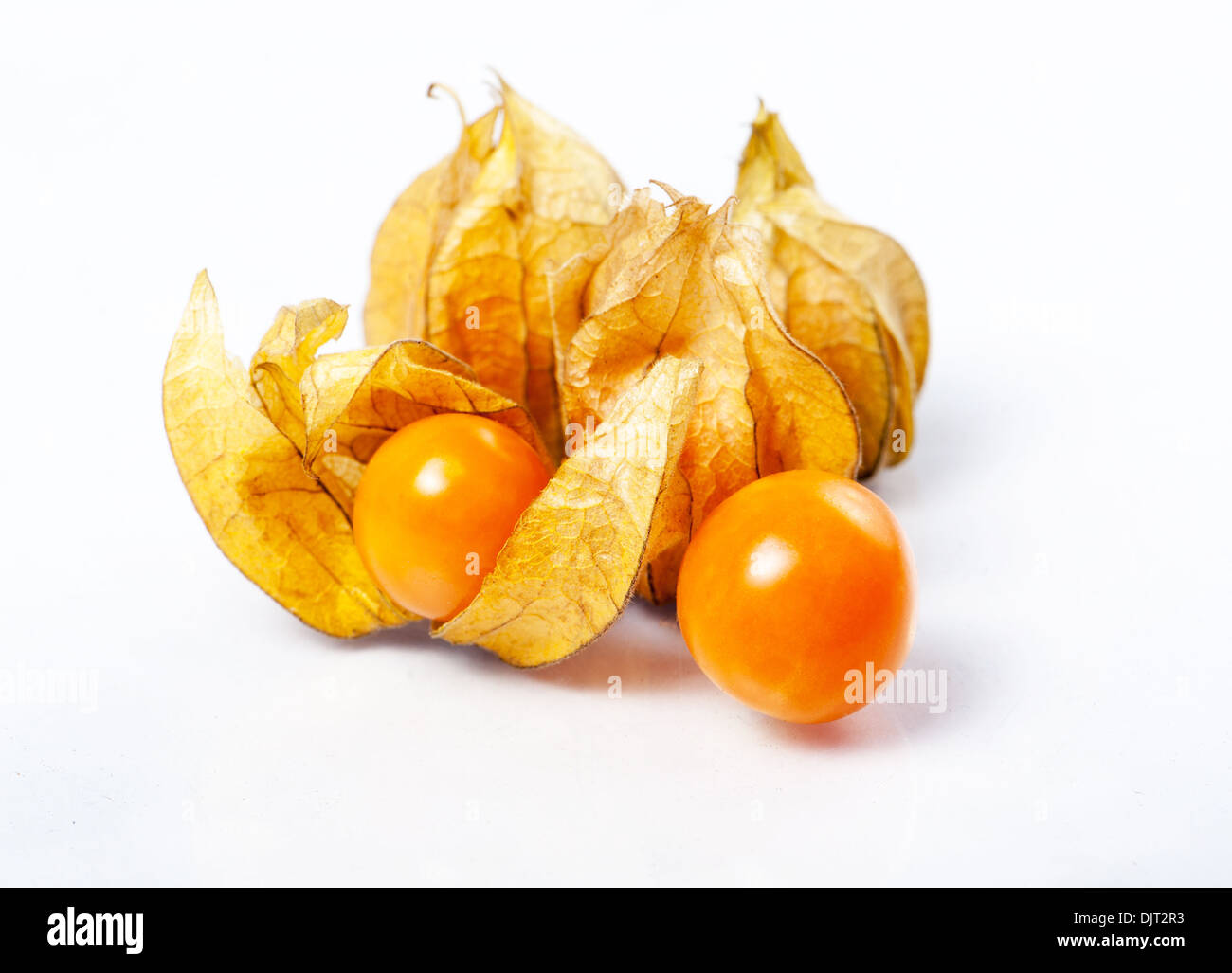 cape gooseberries isolated on a white background Stock Photo - Alamy