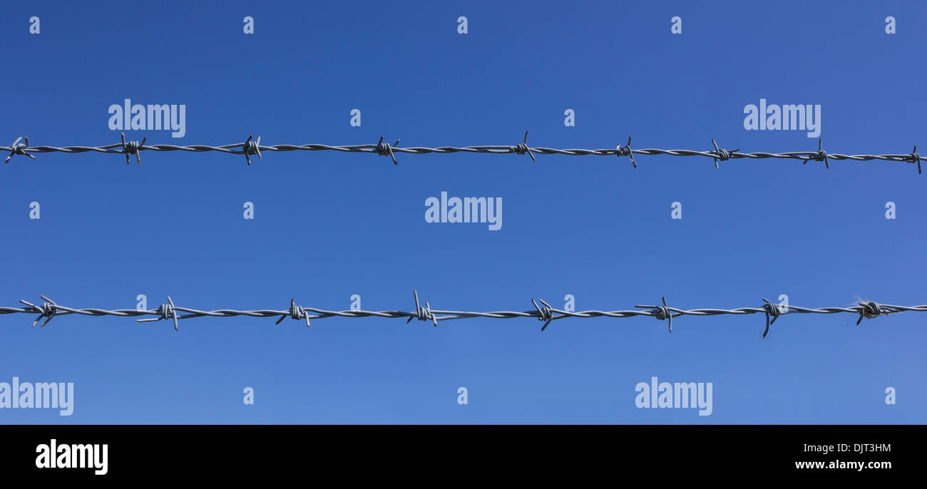 Wide metal wire fence view hi-res stock photography and images - Alamy