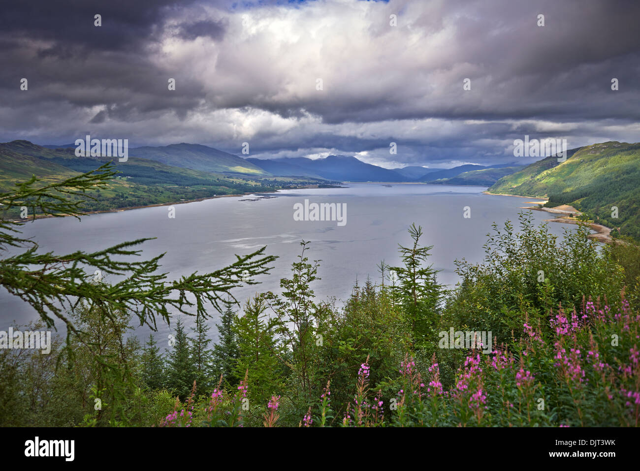 Cryptozoological loch ness monster hi-res stock photography and images ...