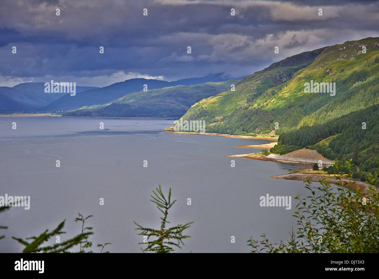 Cryptozoological loch ness monster hi-res stock photography and images ...