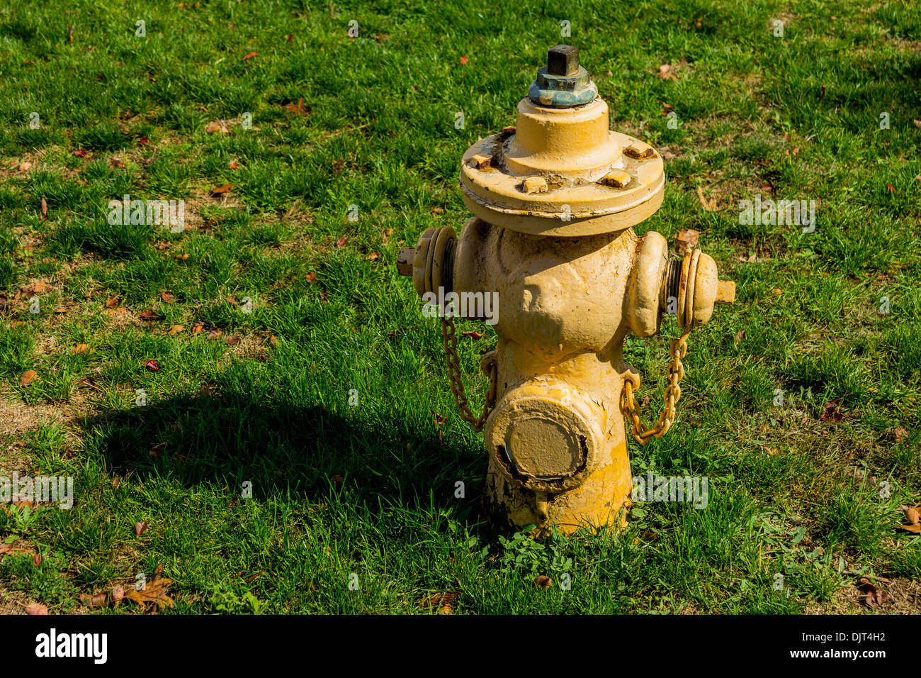 Fire hydrant in Toronto Stock Photo - Alamy