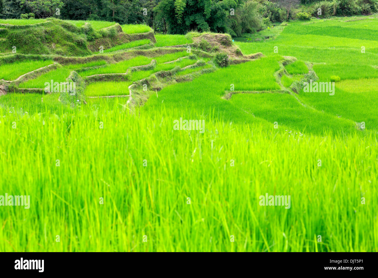 Kathmandu valley hi-res stock photography and images - Alamy