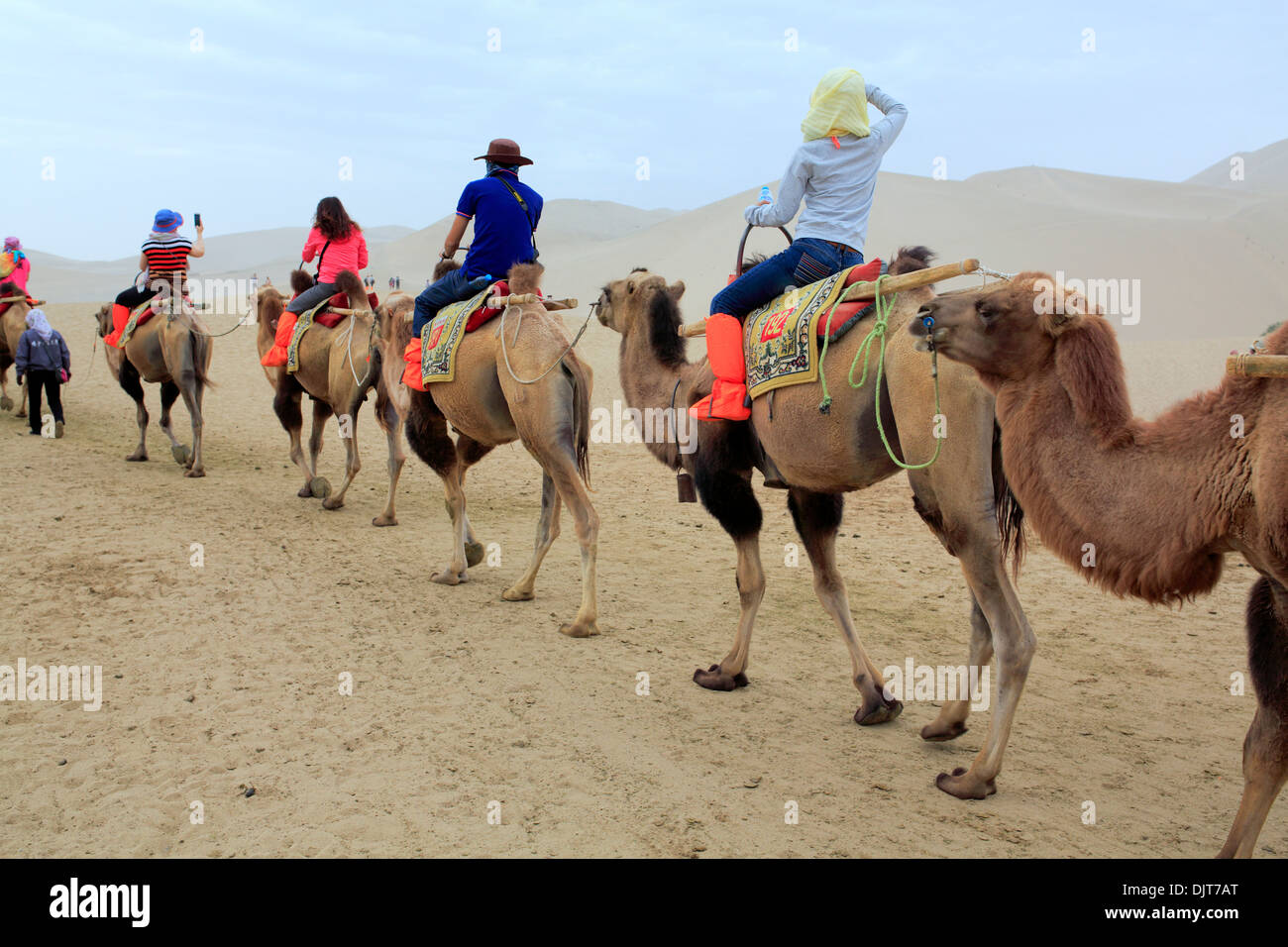 Camel desert silk road hi-res stock photography and images - Alamy