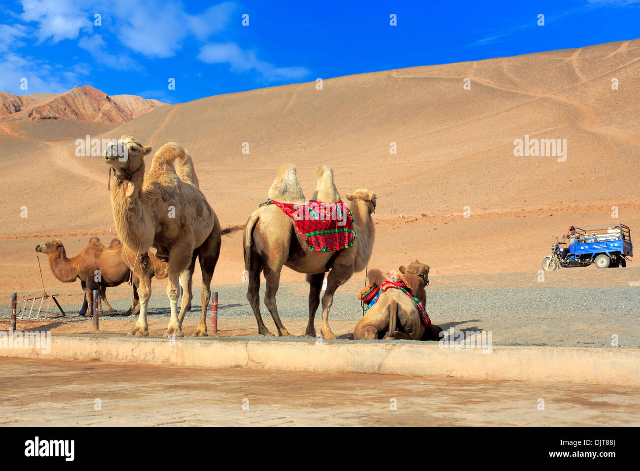 Camel xinjiang china flaming mountain hi-res stock photography and ...