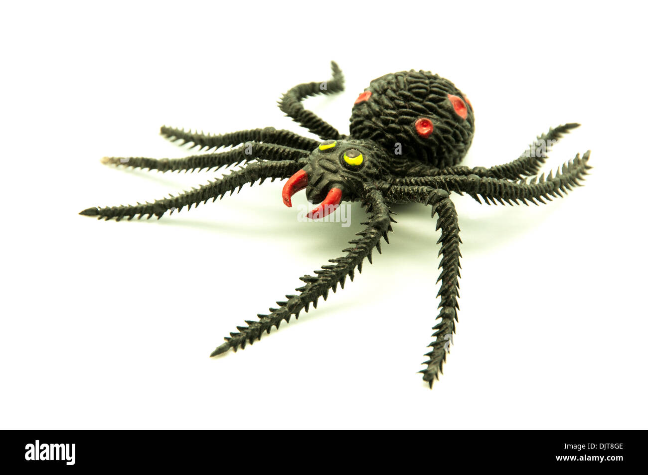 Black red hairy spider Cut Out Stock Images & Pictures - Alamy