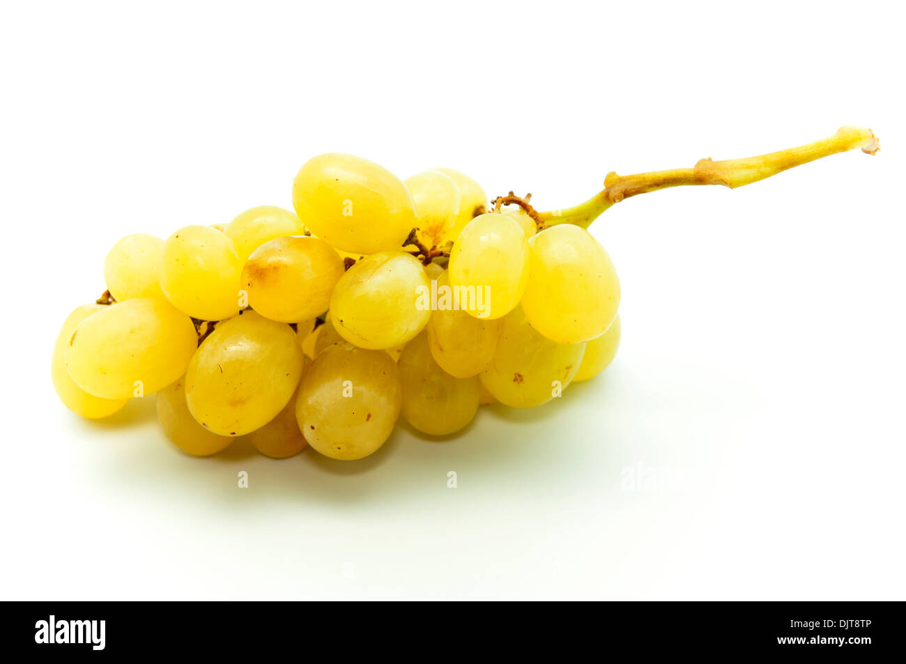yellow grapes on a white background Stock Photo - Alamy