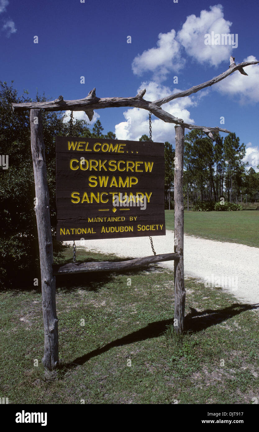 Welcome swamp hi-res stock photography and images - Alamy