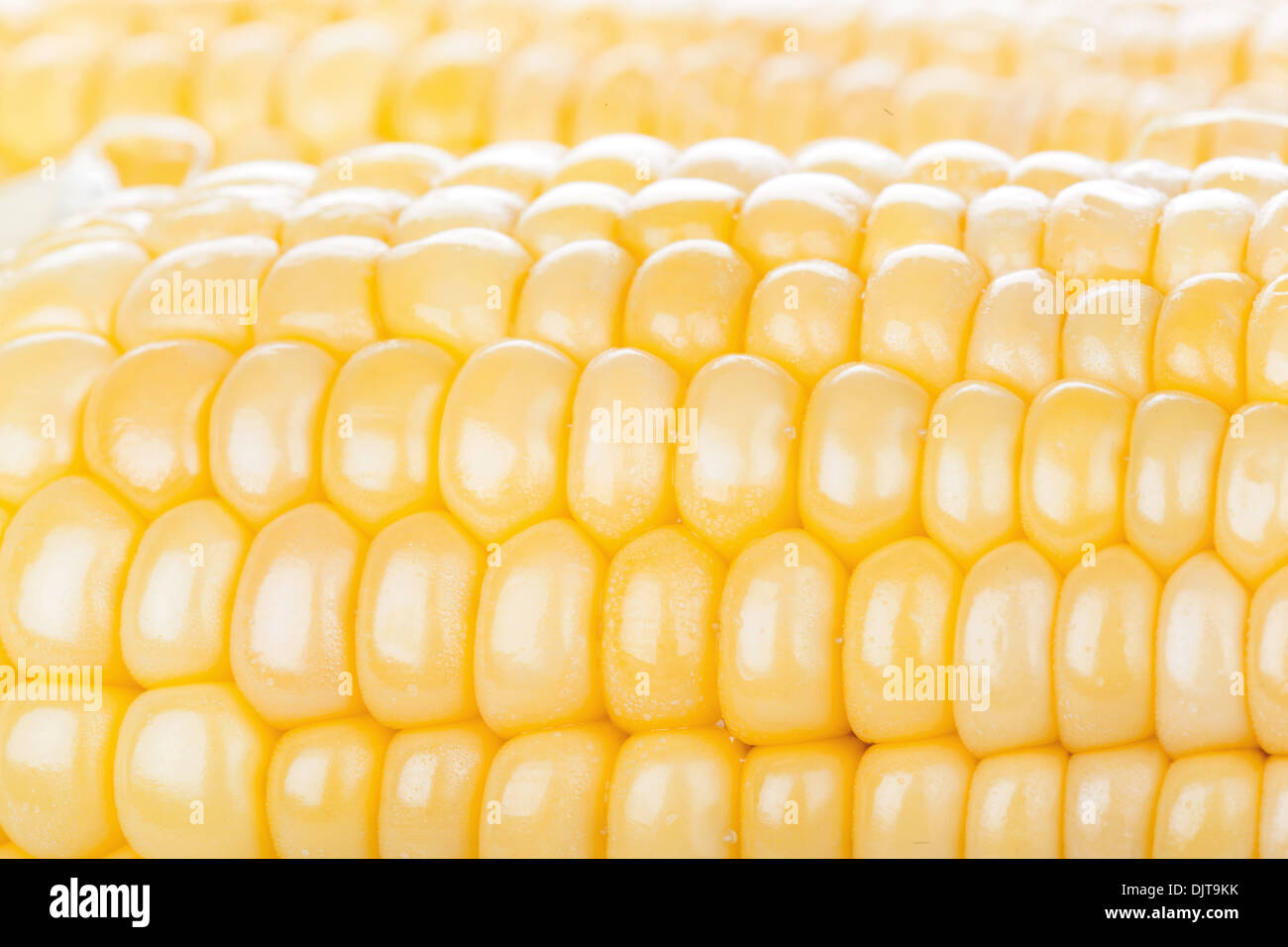 Yellow corn background Stock Photo - Alamy