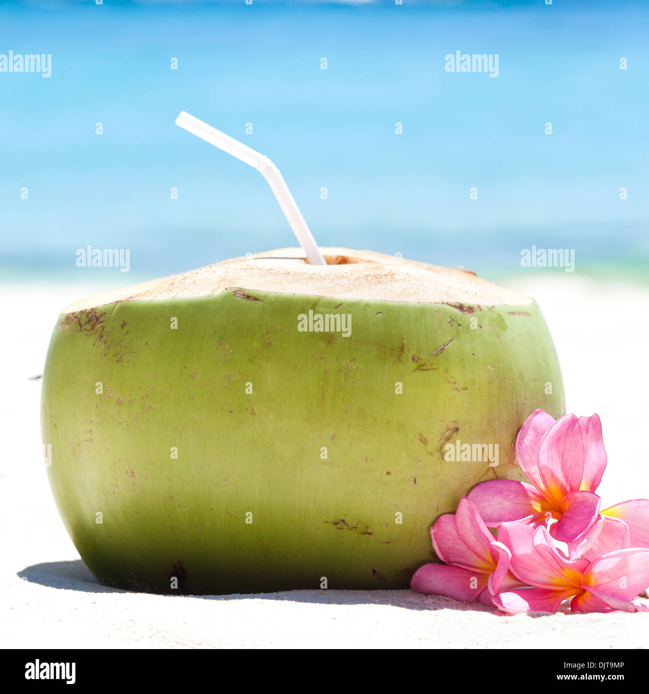 Tropical fresh coconut cocktail decorated plumeria on white beach Stock ...