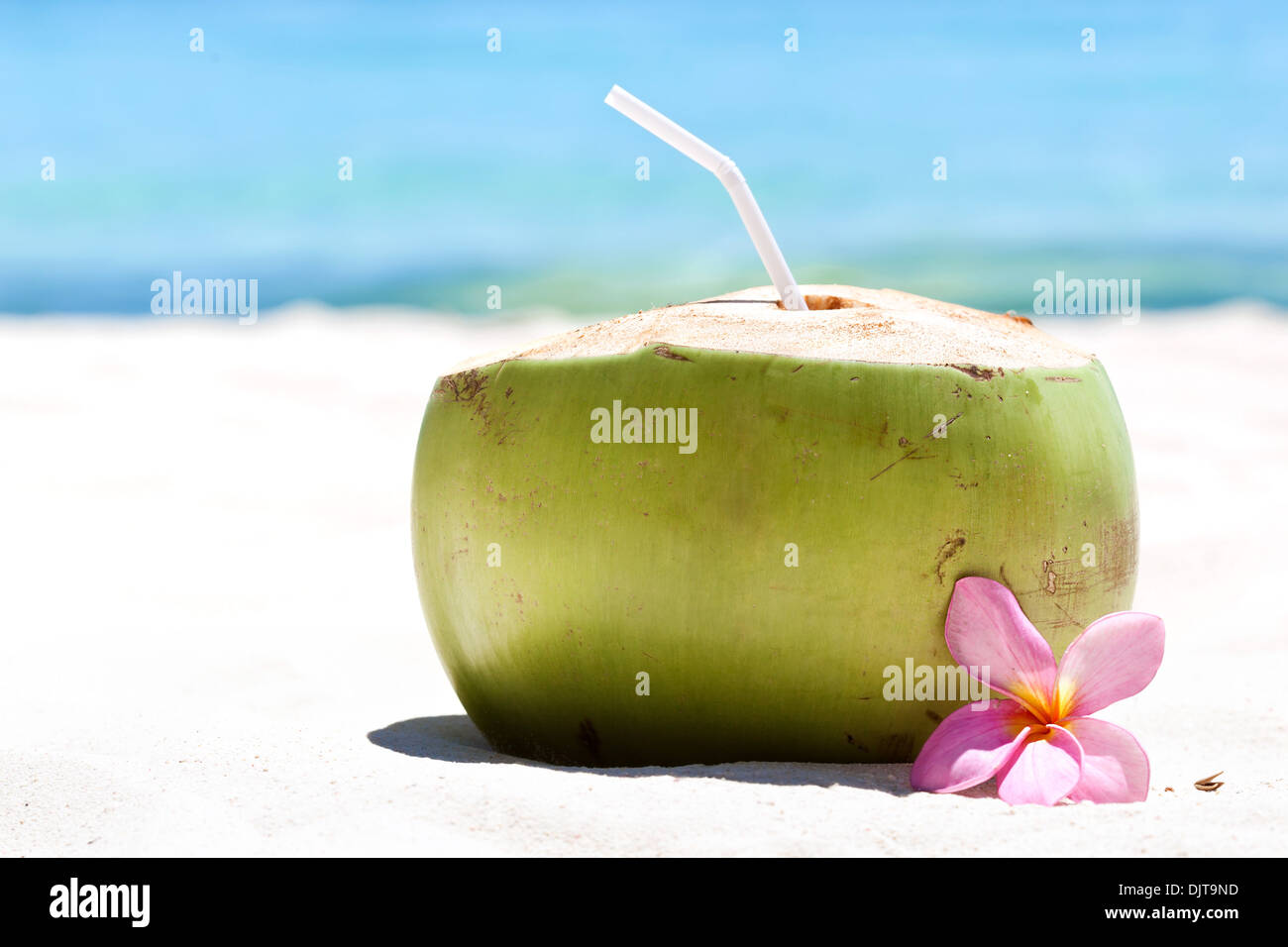 Tropical fresh coconut cocktail decorated plumeria on white beach Stock ...