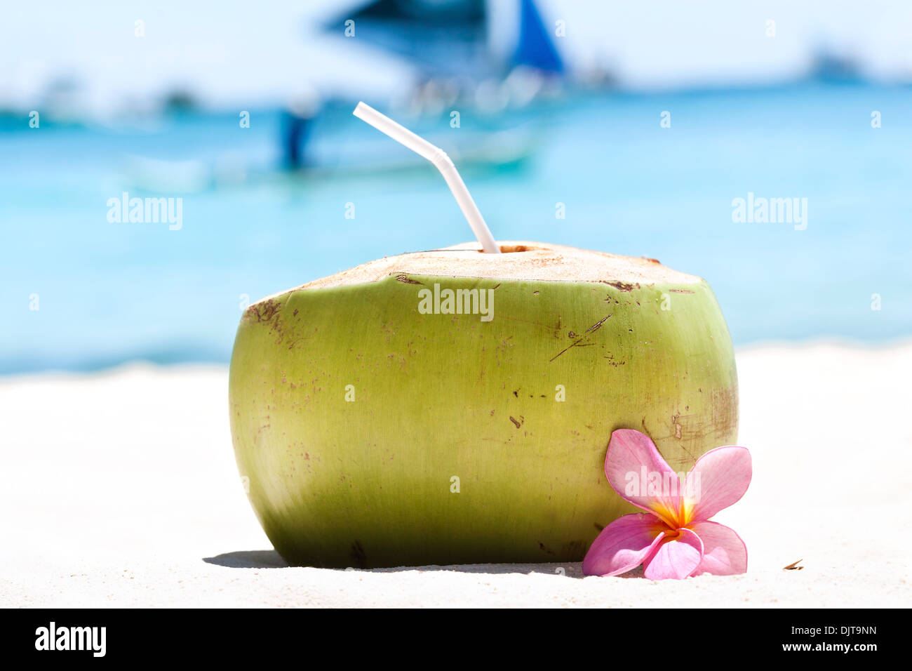 Tropical fresh coconut cocktail decorated plumeria on white beach Stock ...