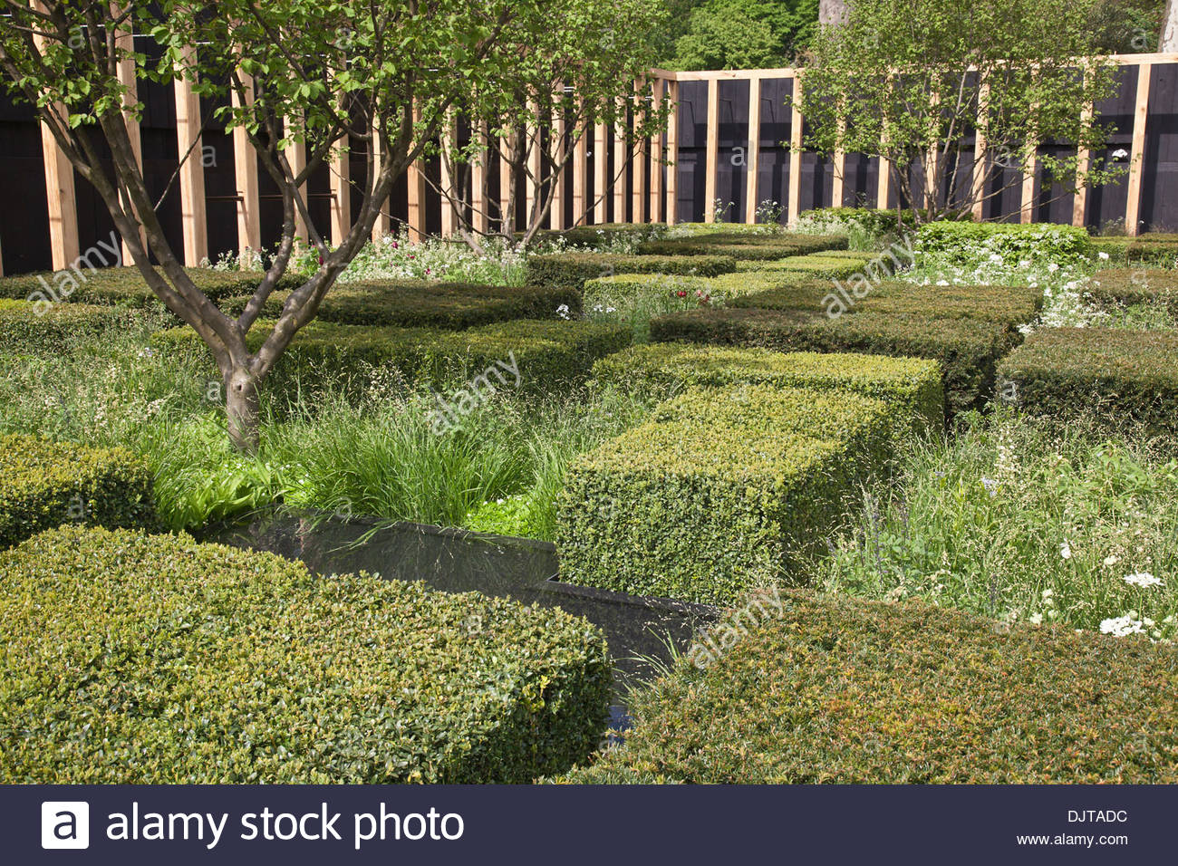 Taxus Baccata Hedge Stock Photos & Taxus Baccata Hedge Stock Images - Alamy