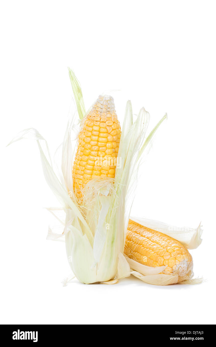 Raw corn closeup on white background Stock Photo - Alamy