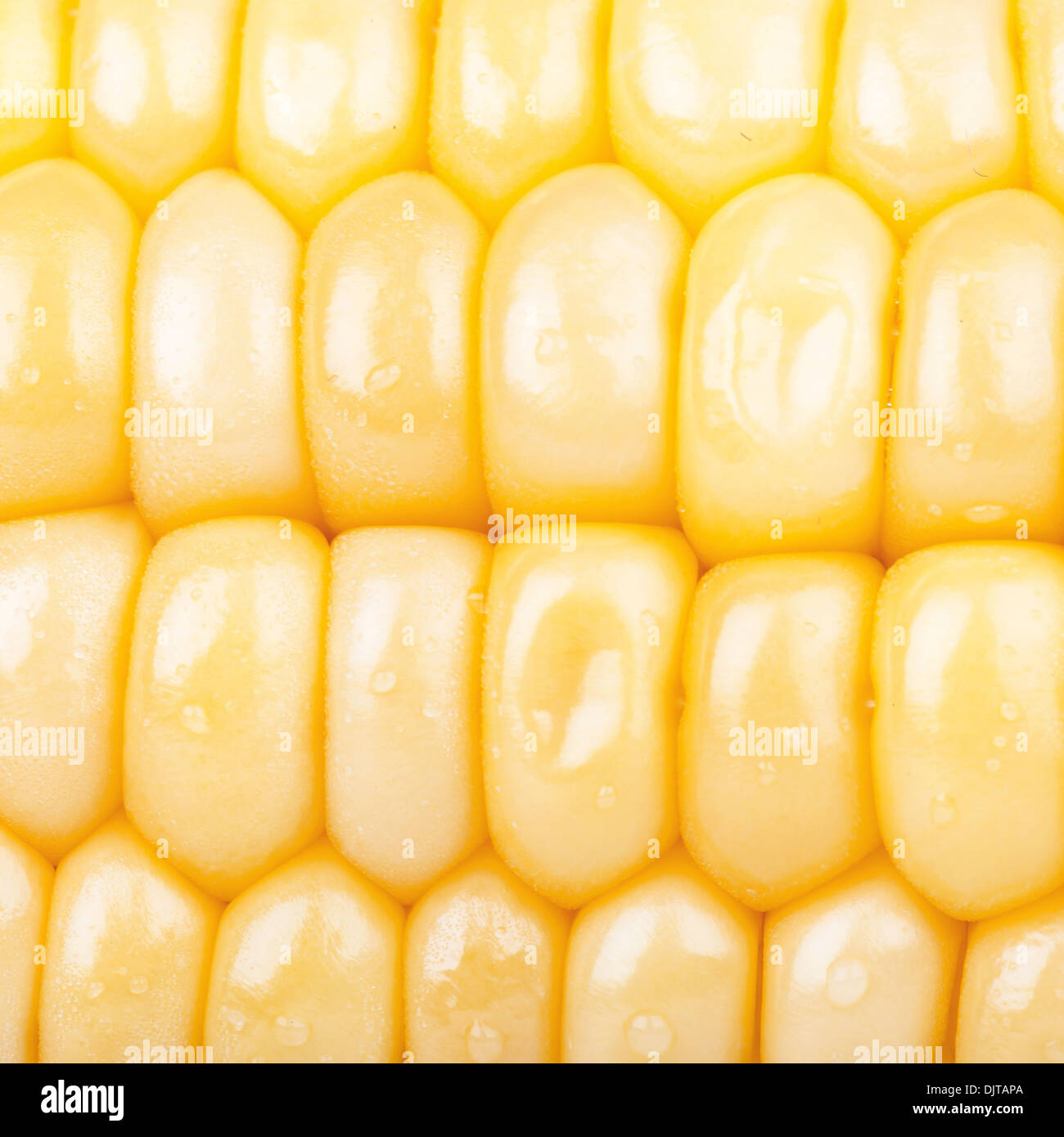 Yellow corn background Stock Photo - Alamy