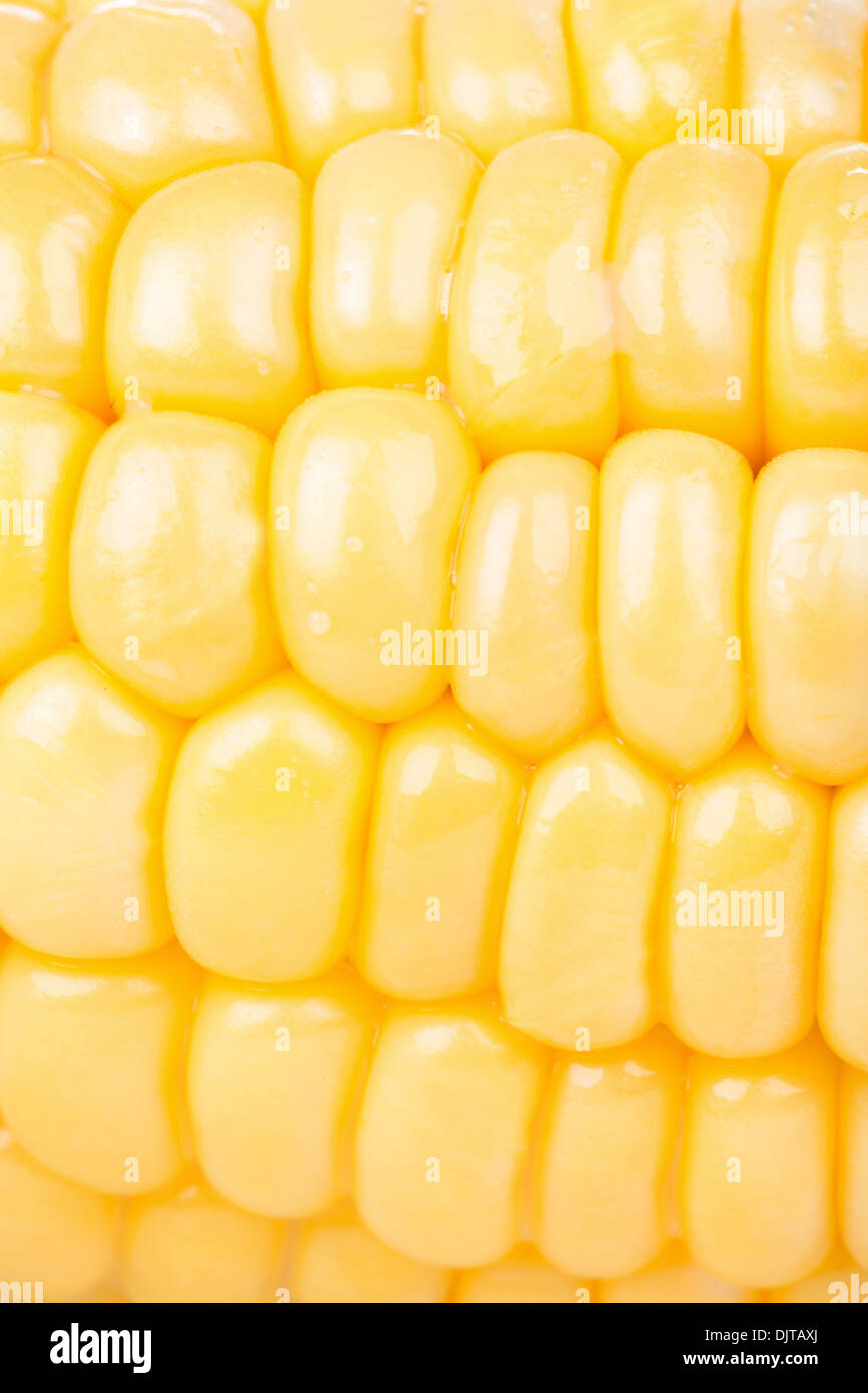 Yellow corn background Stock Photo - Alamy