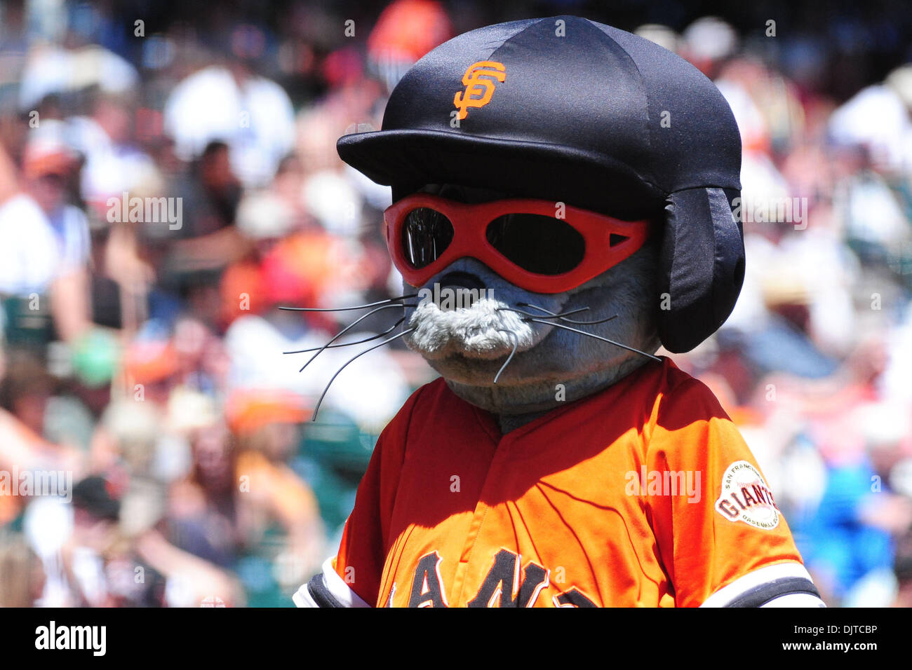 San Francisco, CA: San Francisco Giants' mascot Lou Seal wears his ...