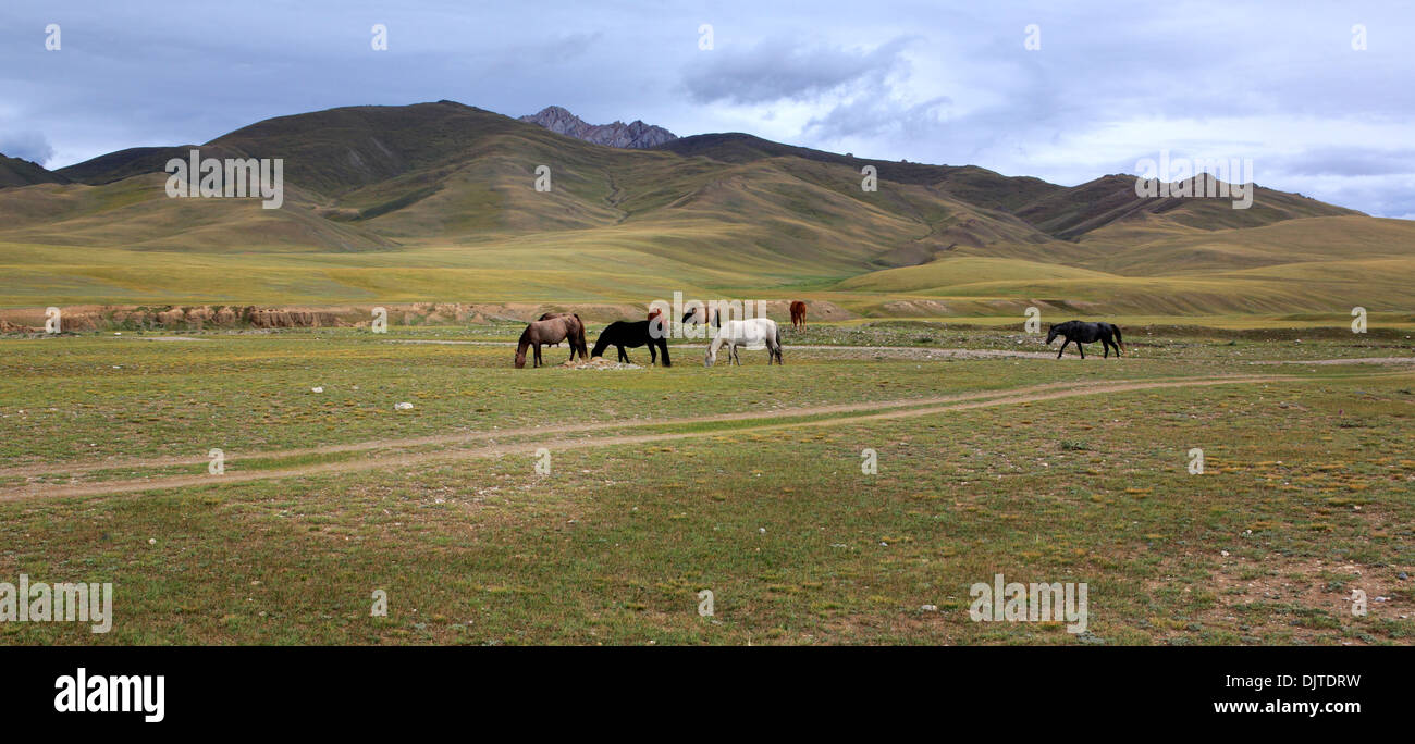 Road from Torugart pass to Tash Rabat valley, Naryn oblast, Kyrgyzstan ...