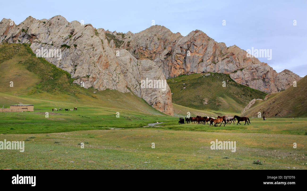 Kyrgyzstan asia horse hi-res stock photography and images - Alamy