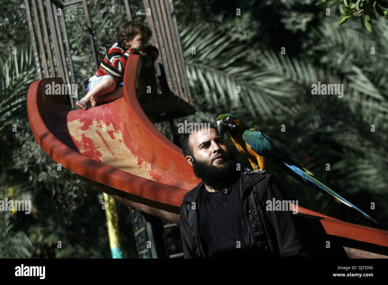 Smuggled birds hi-res stock photography and images - Alamy