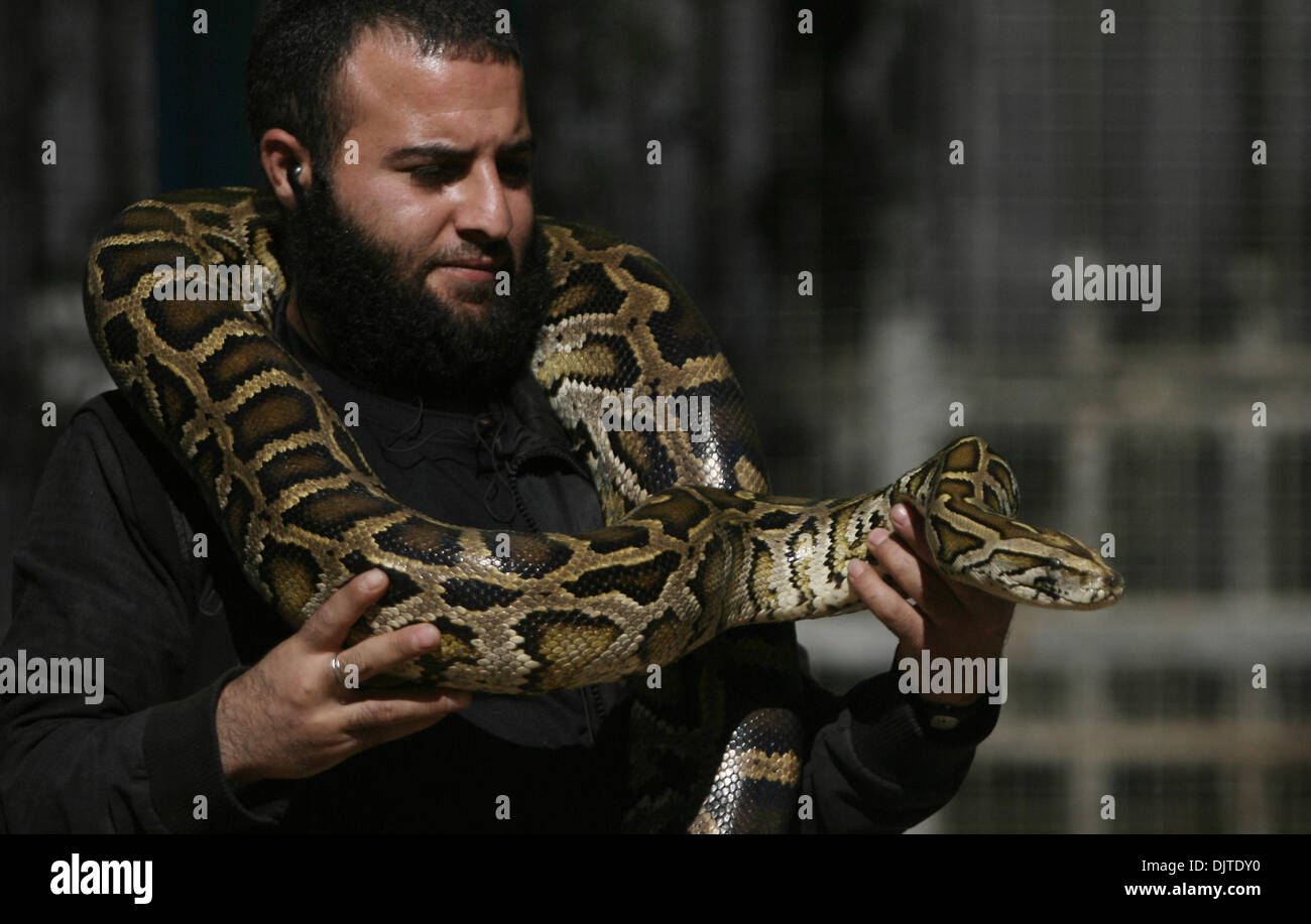 Snakes at the zoo hi-res stock photography and images - Alamy