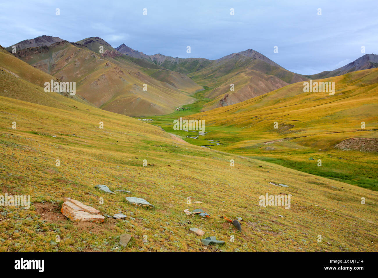 Tash hi-res stock photography and images - Alamy