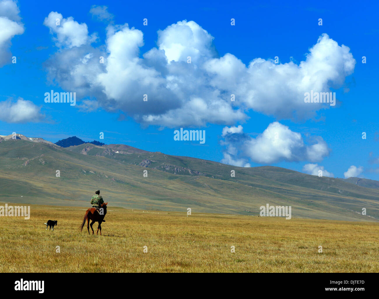 Song Kol Lake, Naryn oblast, Kyrgyzstan Stock Photo - Alamy