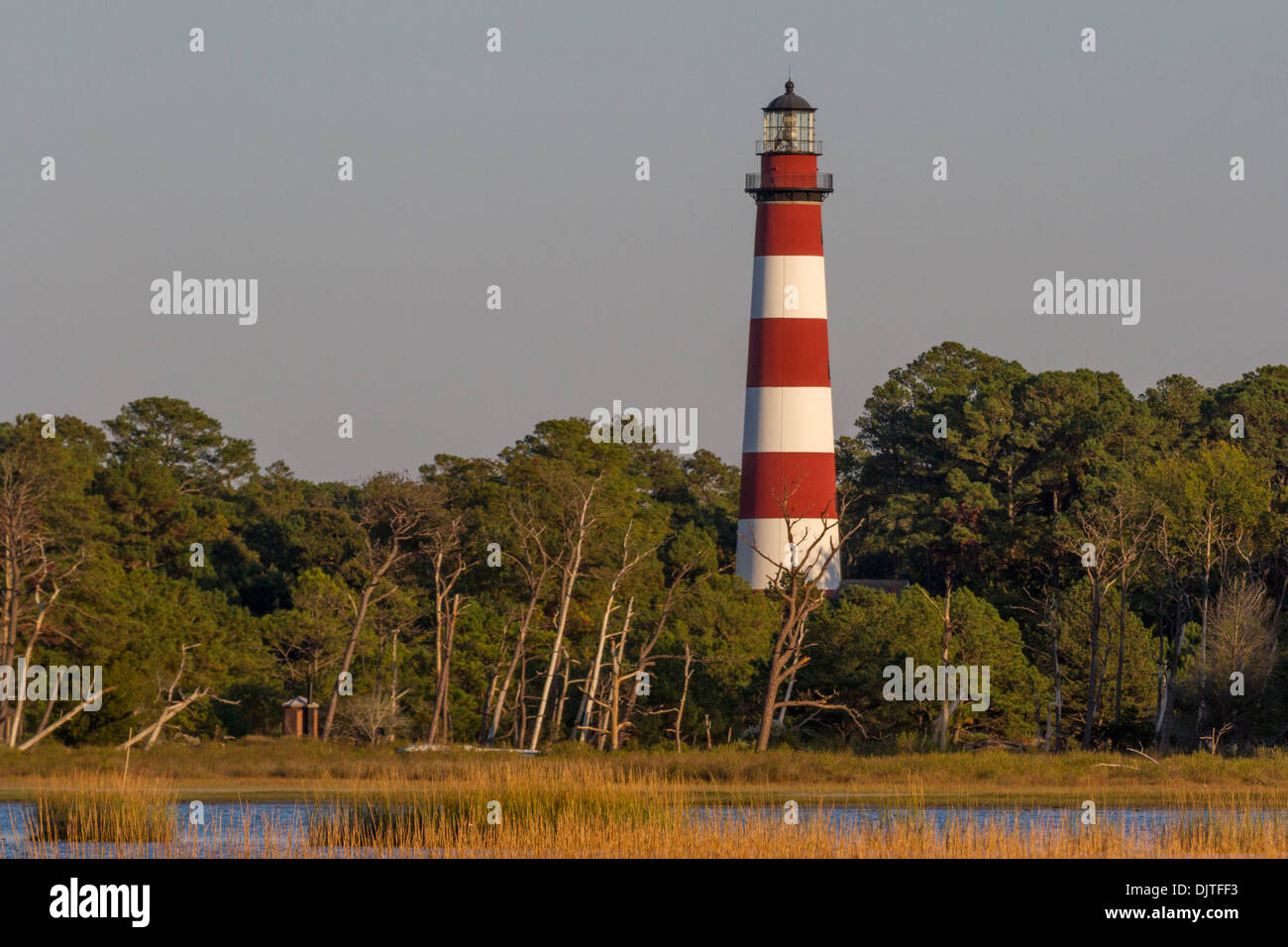 Assateague Lighthouse on Assateague Island in the Chincoteague National ...