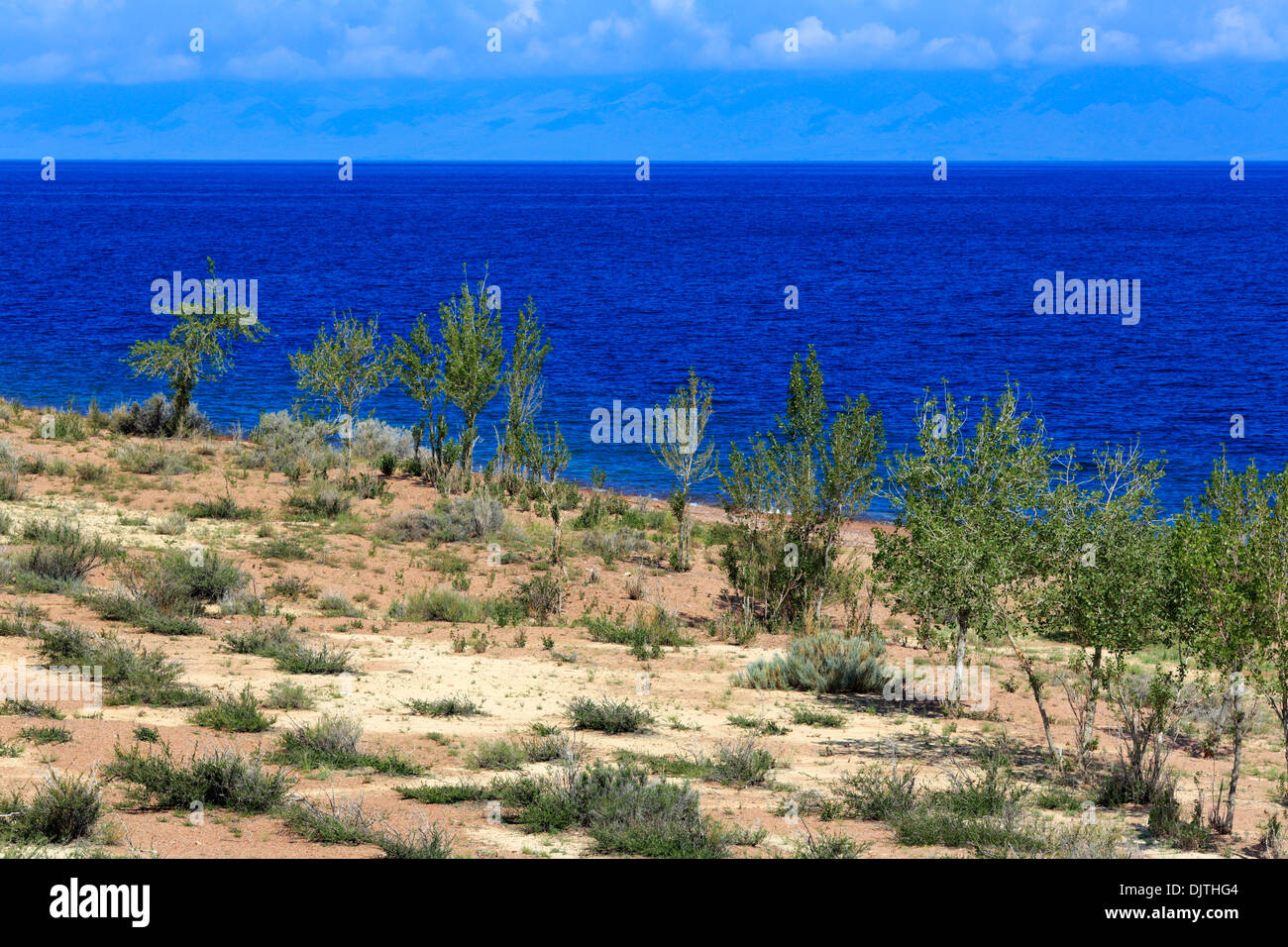 Issyk Kul Lake shore, Issyk Kul oblast, Kyrgyzstan Stock Photo - Alamy
