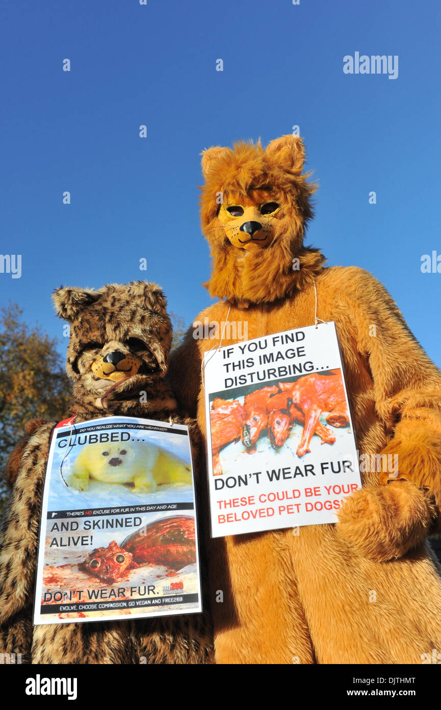 Hyde Park Corner, London, UK. 30th November 2013. Campaign to Abolish ...